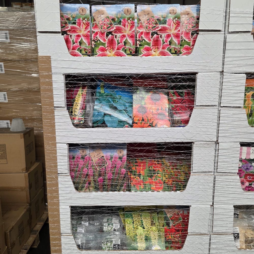 Pallet zomerbloeiers - bloembollen - per pallet - 1.290 zakjes per ...