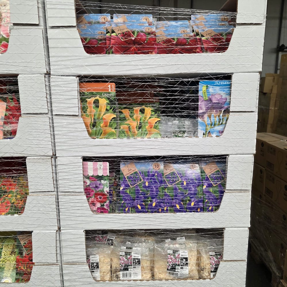 Pallet zomerbloeiers - bloembollen - per pallet - 1.290 zakjes per ...