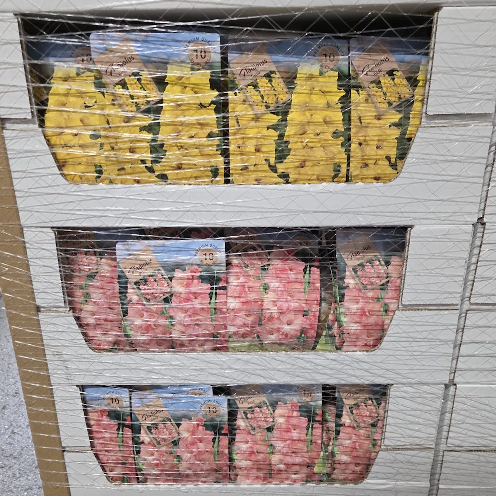 Pallet zomerbloeiers - bloembollen - per pallet - 1.290 zakjes per ...