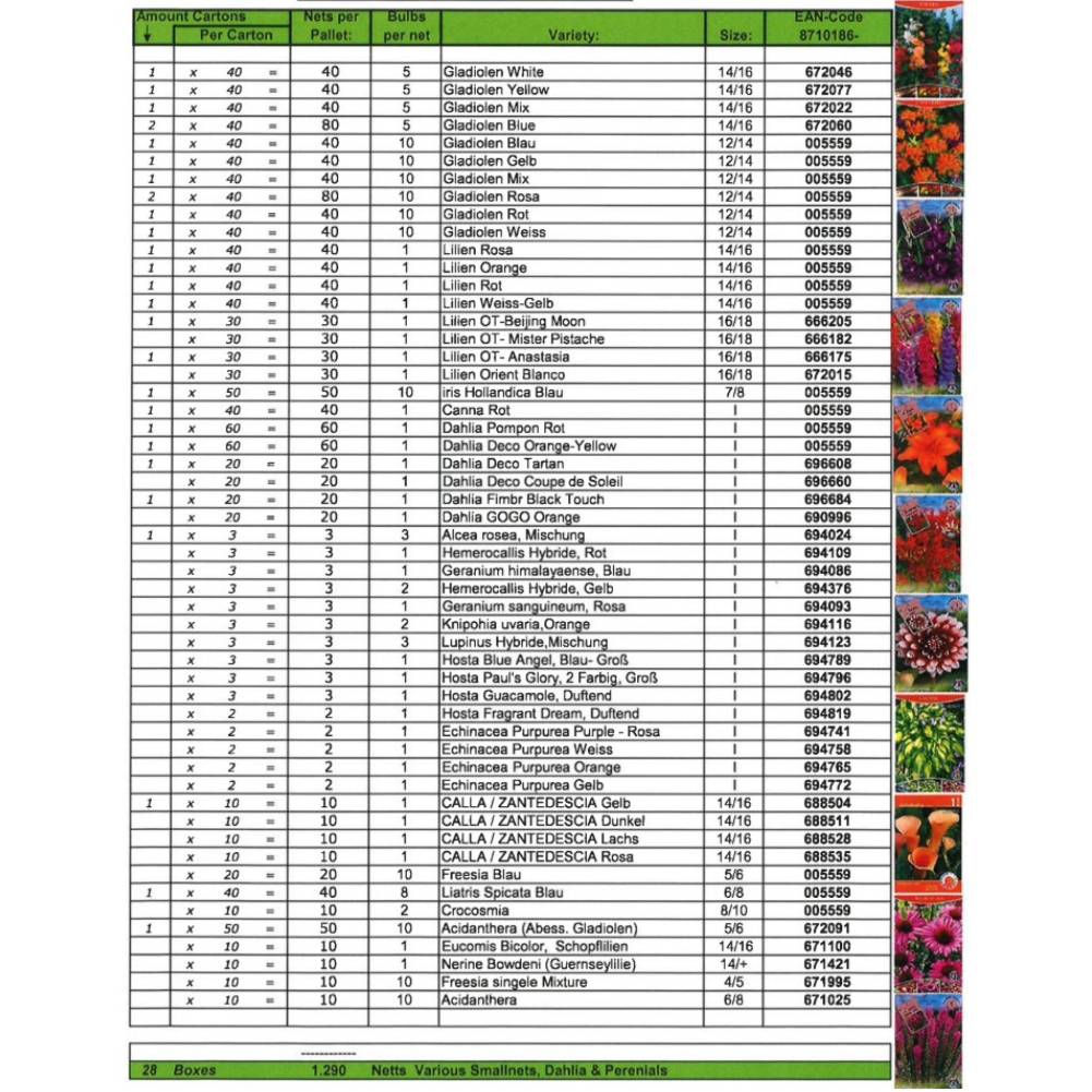 Pallet zomerbloeiers - bloembollen - per pallet - 1.290 zakjes per ...